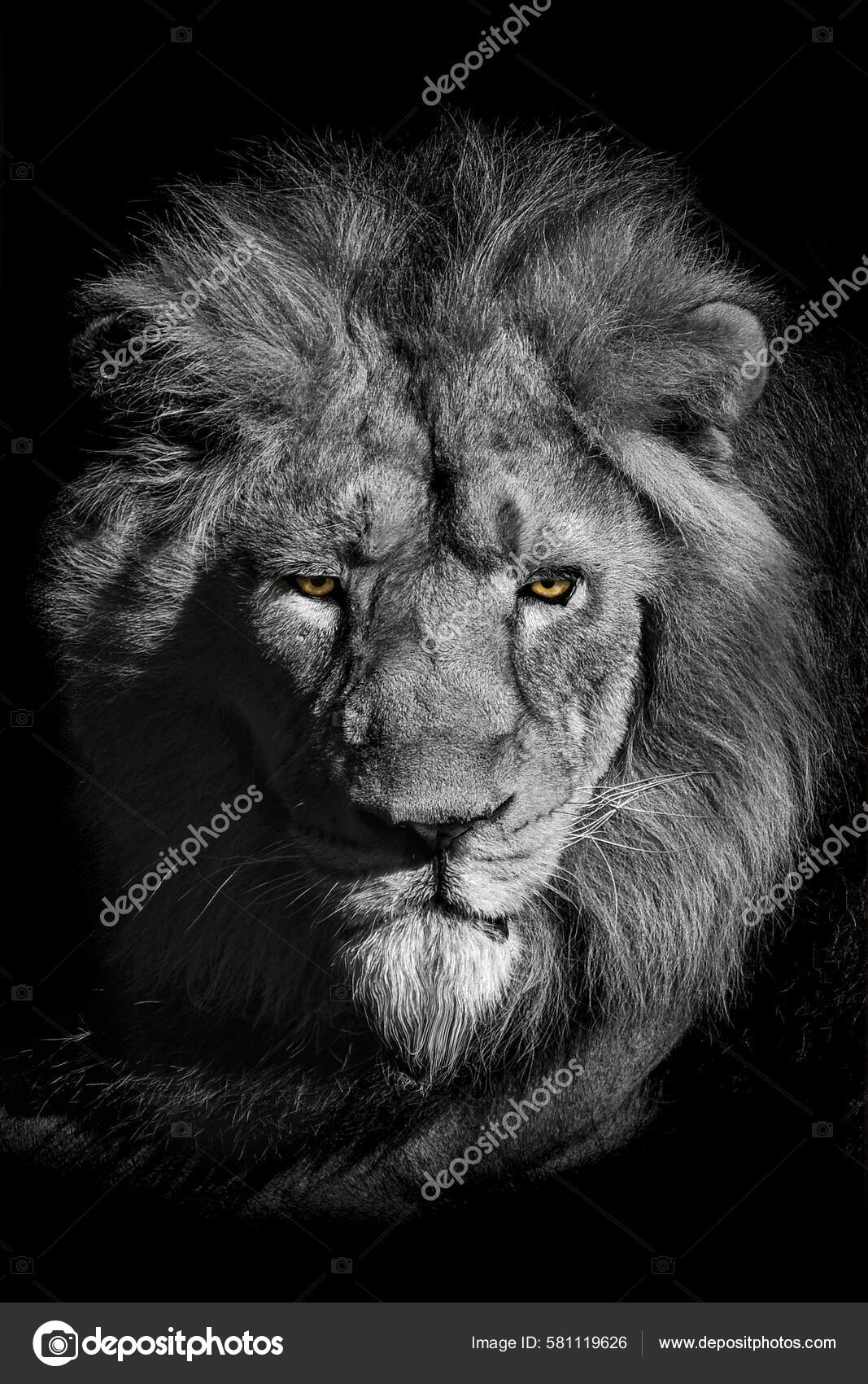 Vertical Portrait Lion Grayscale — Stock Photo © wirestock_creators ... Vertical Portrait Lion Grayscale — Stock Photo © wirestock_creators ...