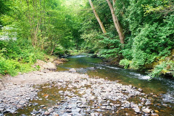 Stream in the forest in summer, landscape in Germany near Trier, river ...