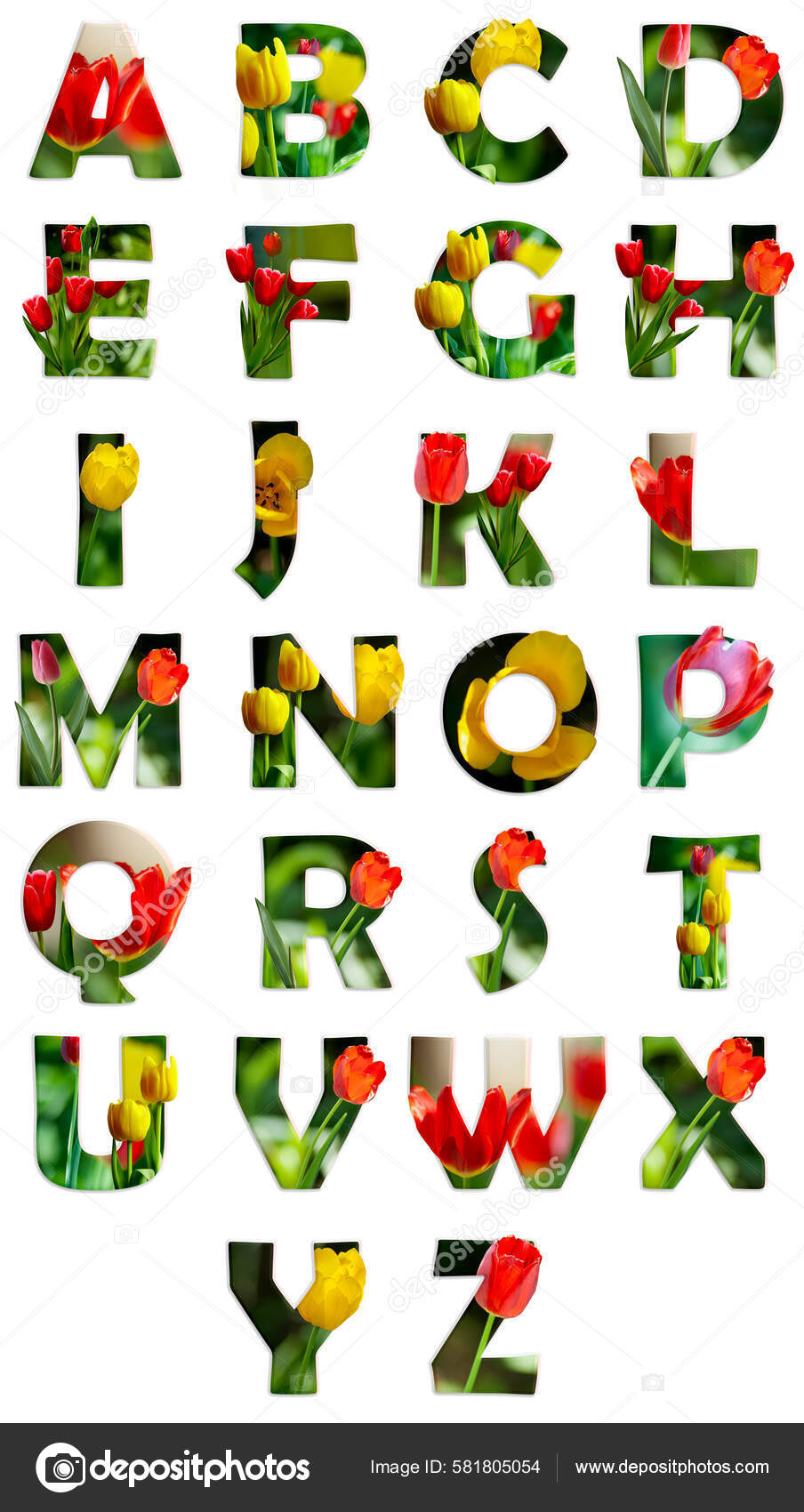 Plano Vertical Letras Inglesas Estilo Natural Aisladas Sobre Fondo ...