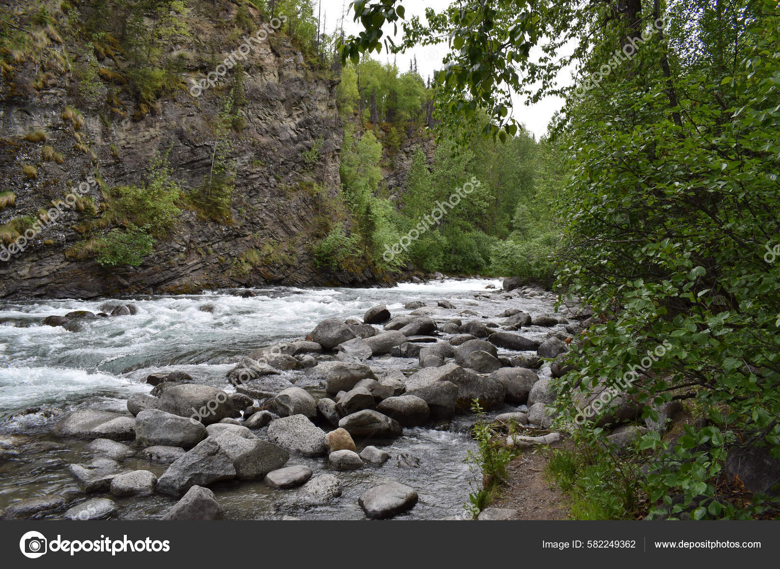 Beautiful Shot Flowing Rocky Stream Mountains Anchorage Alaska — Stock ...