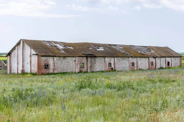 Old dilapidated agricultural building - brick farm for cattle on green ...