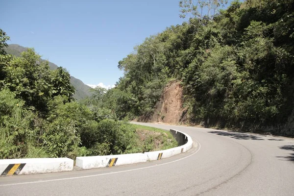 Rodovia halsema Stock Photos, Royalty Free Rodovia halsema Images ...