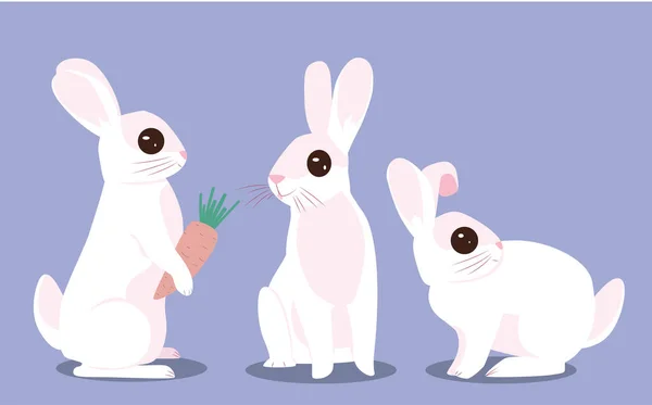 76 Three white rabbits Vector Images | Depositphotos