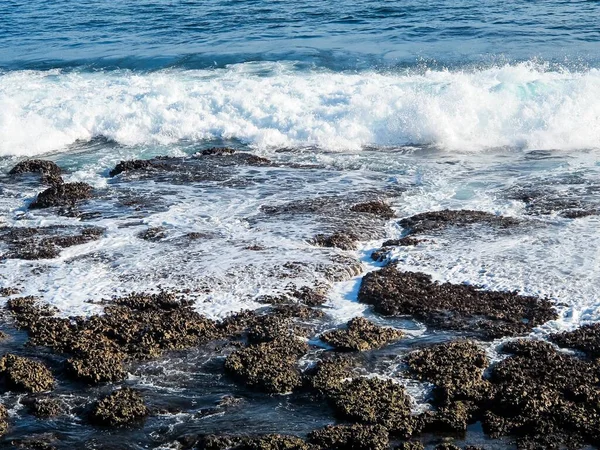 Ocean and rocks Stock Photos, Royalty Free Ocean and rocks Images ...