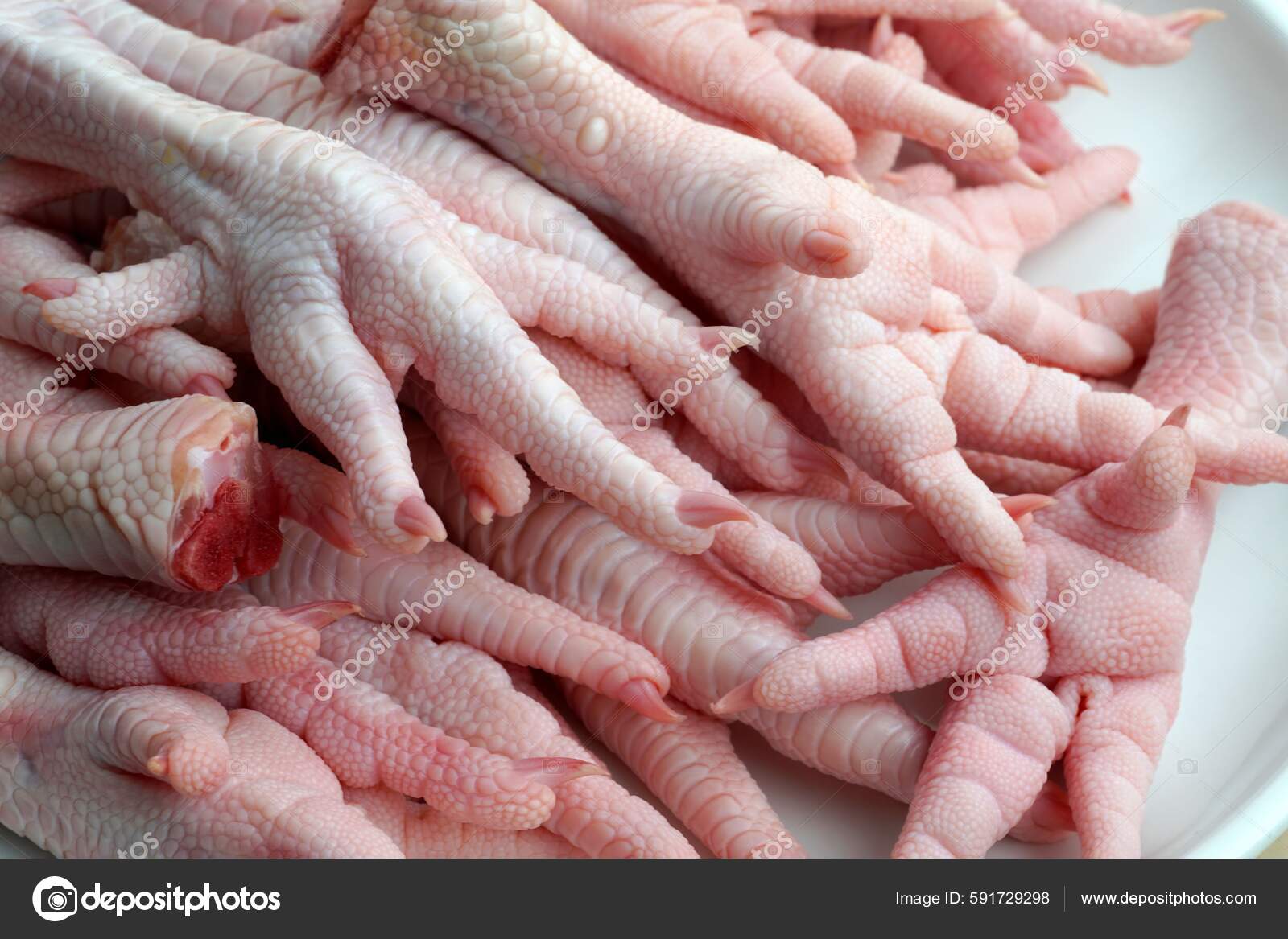 Closeup Raw Chicken Feet Piled Each Other — Stock Photo © wirestock ...