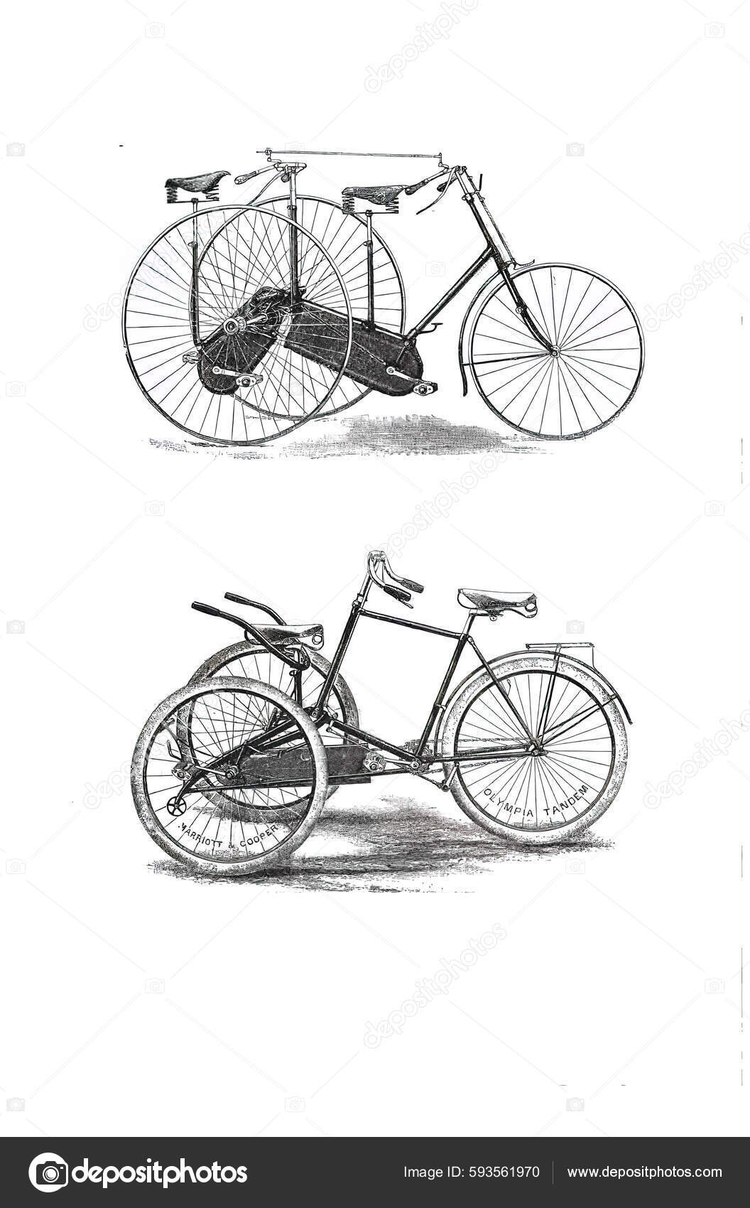 Vertical Illustration 19Th Century Vintage Bicycle Stock Illustration ...