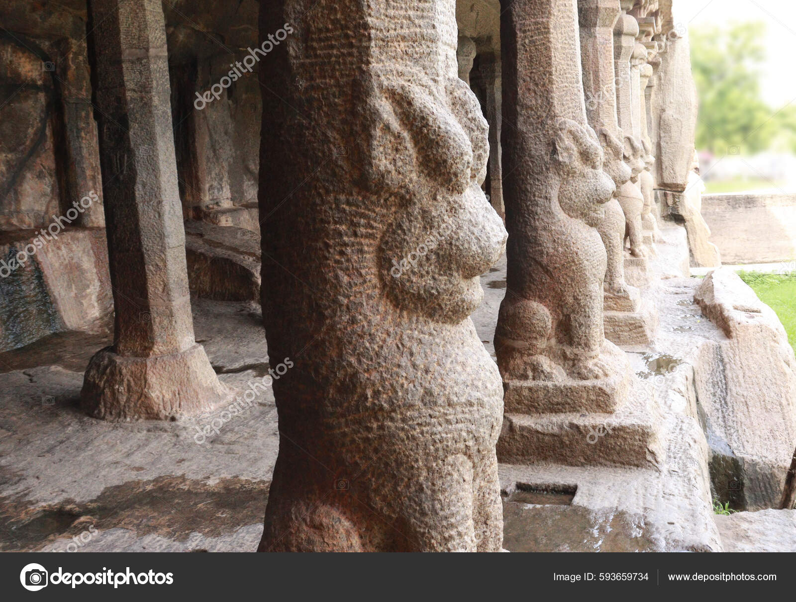 Close Shot Lion Shape Pillars Krishna Mandapam Columns Arjuna's Penance ...