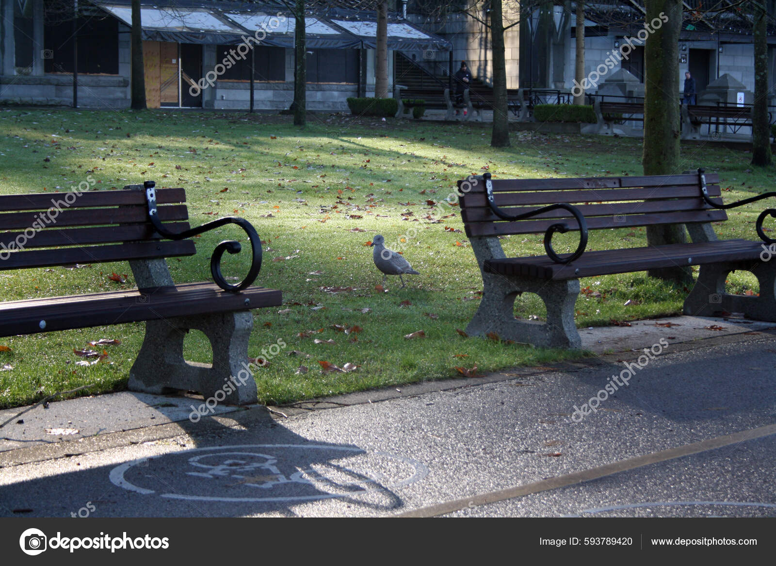 Bird Walking Benches Park — Stock Photo © wirestock_creators #593789420