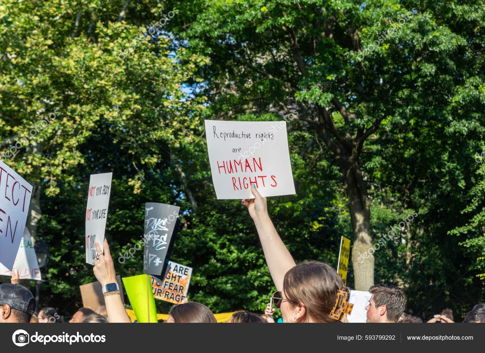 Protesters Cardboard Signs Reproductive Rights Human Rights Supreme ...
