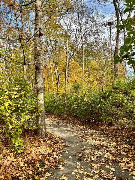 Inwood hill images libres de droit, photos de Inwood hill | Depositphotos