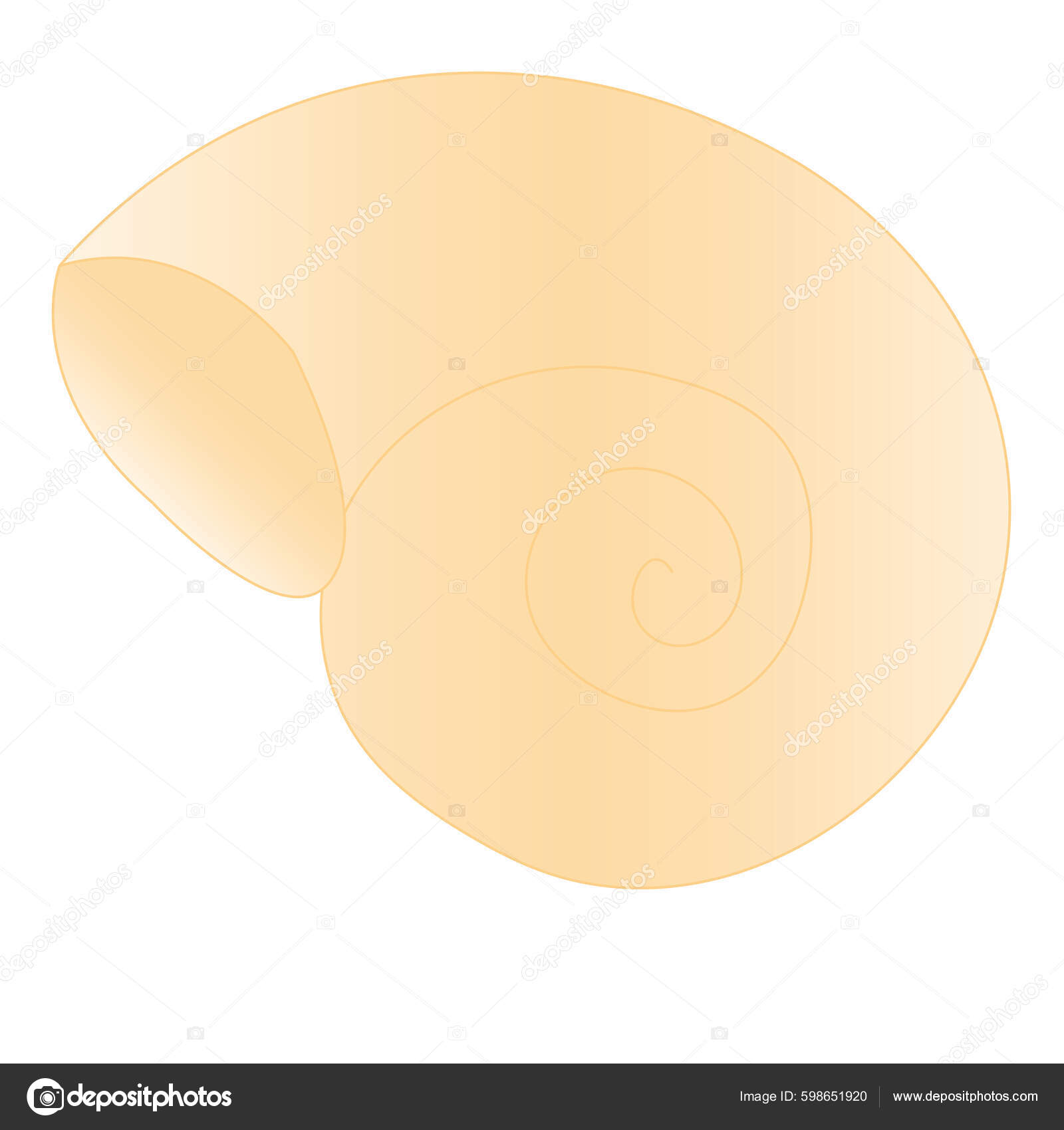 Simple Clip Art Sea Shell White Background Stock Vector by ©wirestock ...