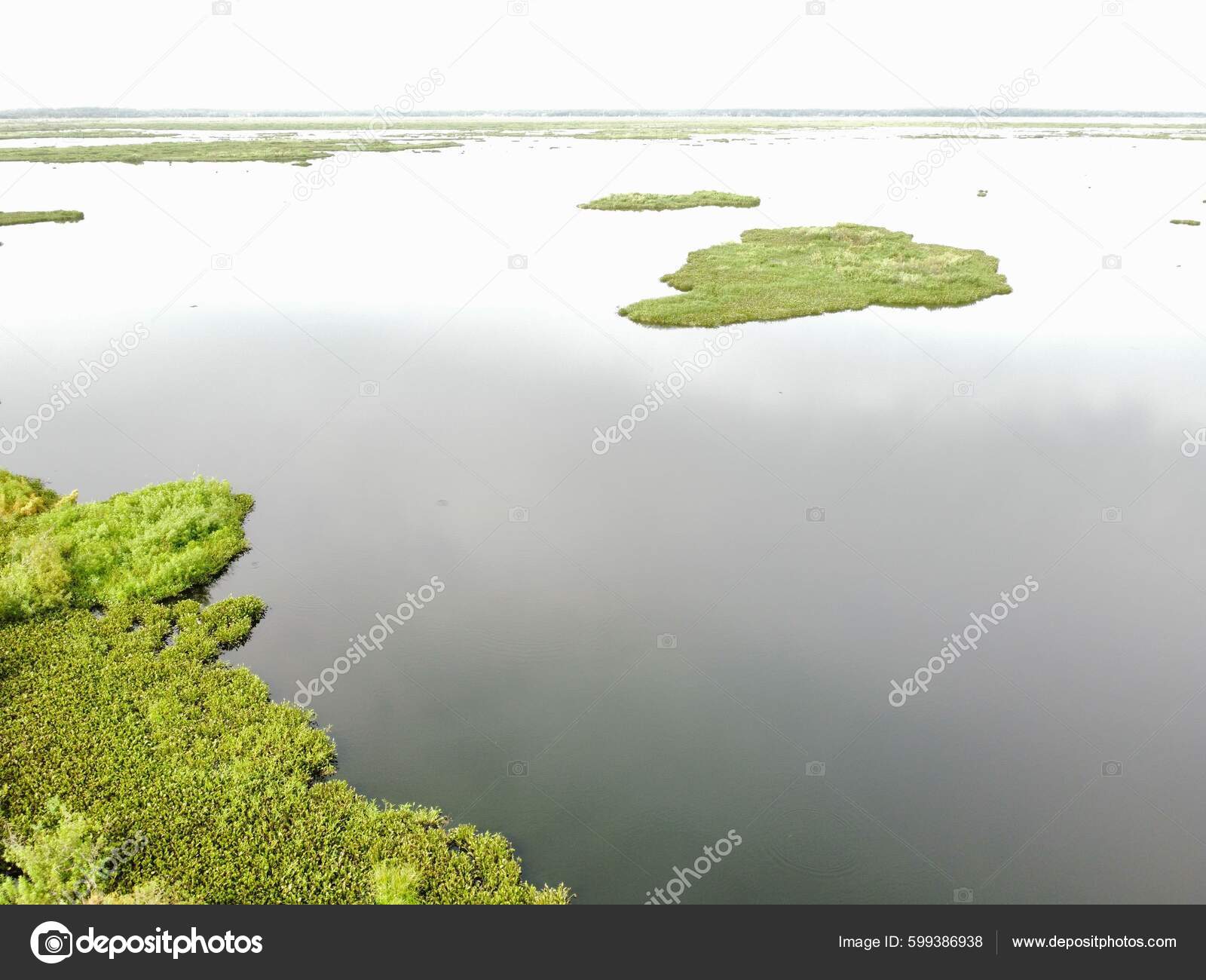 Aerial View Islands Greenery Calm Lake — Stock Photo © wirestock ...