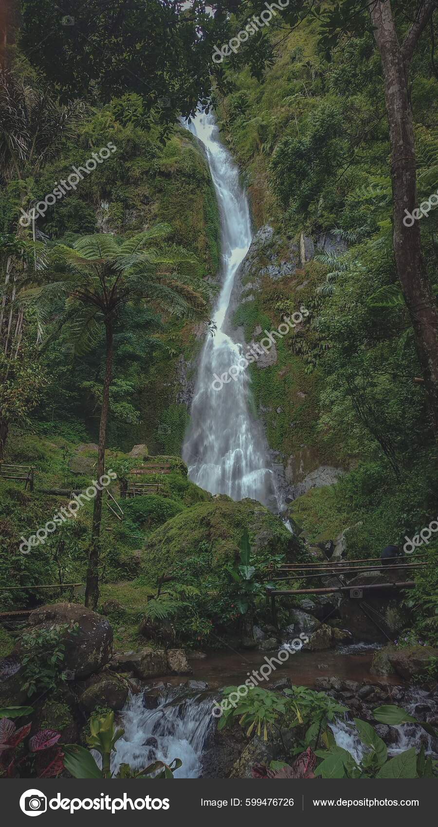 Vertical Shot Waterfall Glorious Green Jungle — Stock Photo © wirestock ...