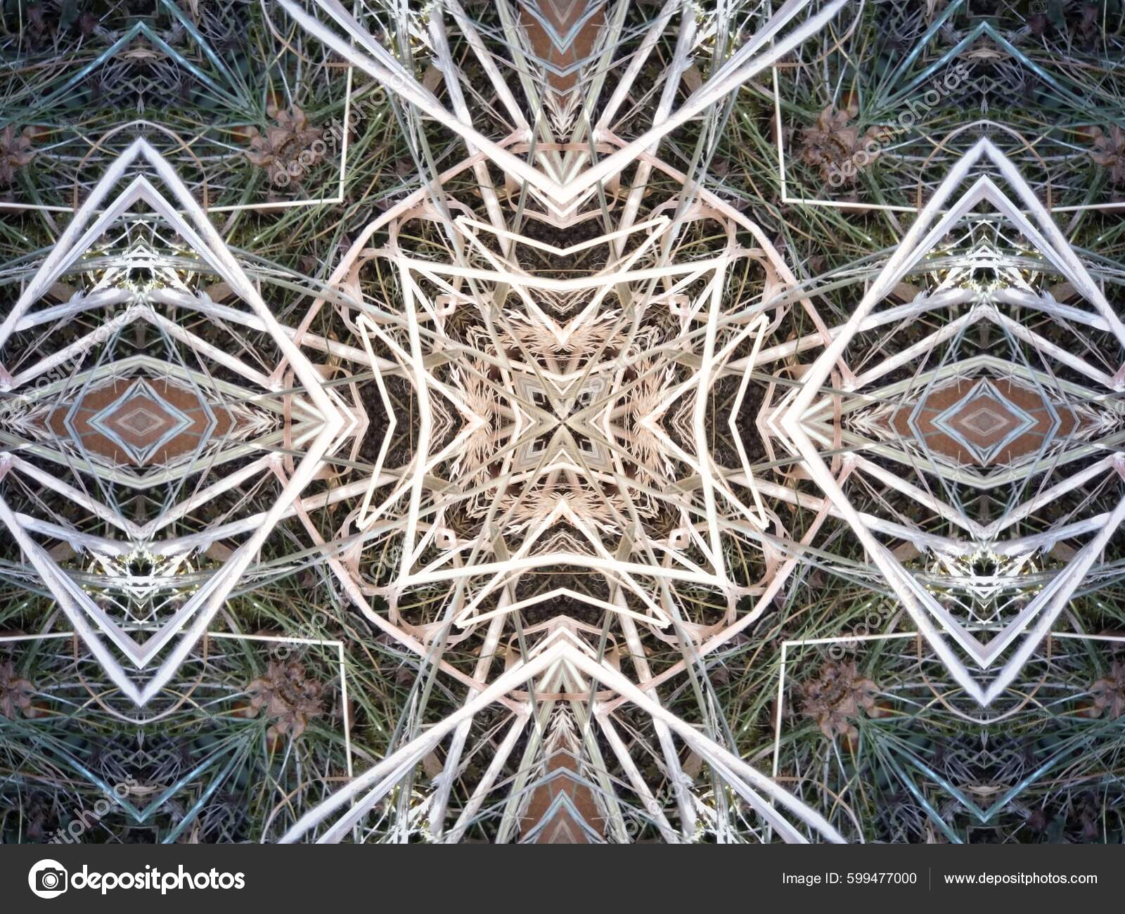 Beautiful Symmetrical Pattern Formed Overlapping Intersecting Dry Grass ...