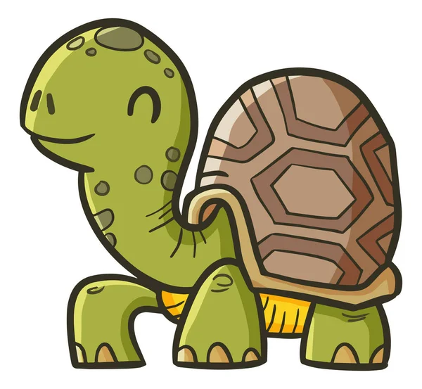 Cute Tortoise Animated