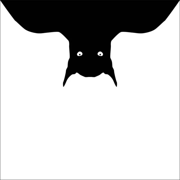 Dibujos animados manta ray imágenes de stock de arte vectorial ...