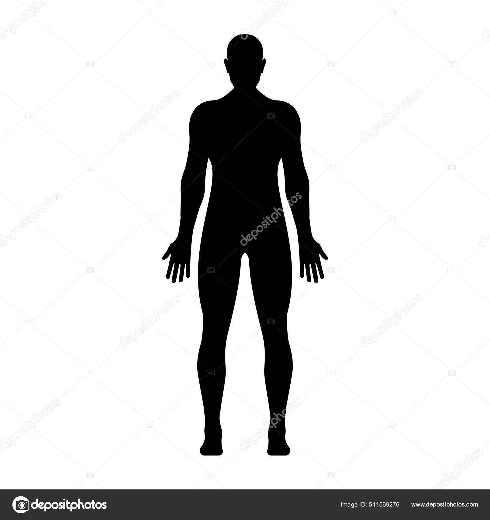 젊은 남자의 검은 실루엣. 사람의 완벽 한 모습 스톡 벡터 - ©threecvet.gmail.com 511569276
