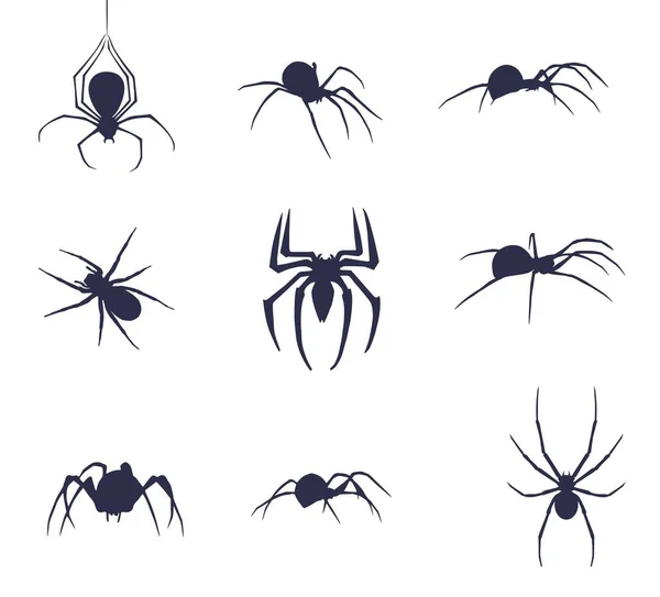 Arachné images vectorielles, Arachné vecteurs libres de droits ...