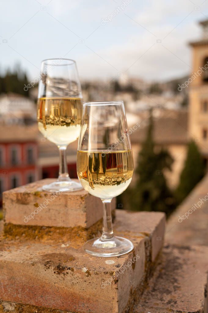 Degustaci n de vino de Jerez fortificado dulce y seco con vista a ...