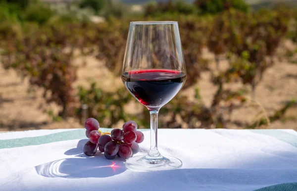 Tasting of red wine on vineyards of Cyprus. Wine production on Cyprus ...