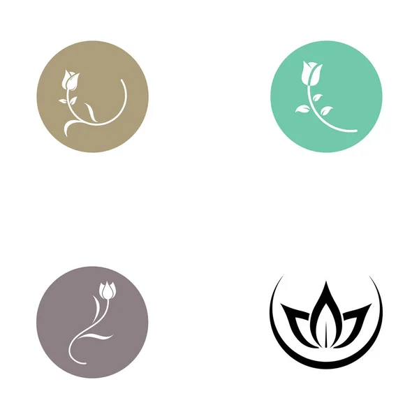 Feng Shui Logo Design