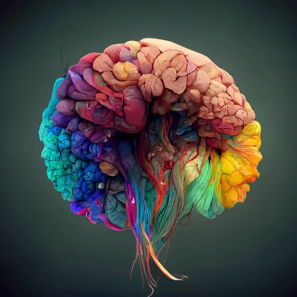 Human Brain Wallpaper