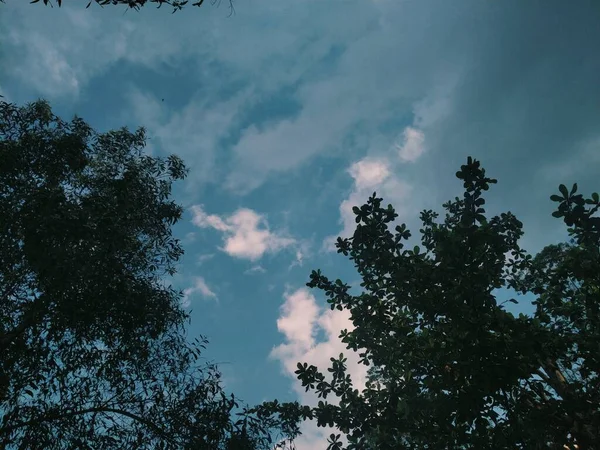 Vsco instagram fotos de stock, imágenes de Vsco instagram sin royalties ...