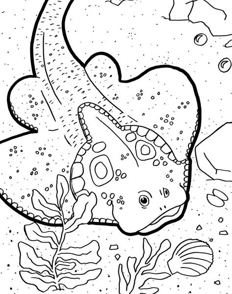 Aquatic animals coloring page Stock Photos, Royalty Free Aquatic ...