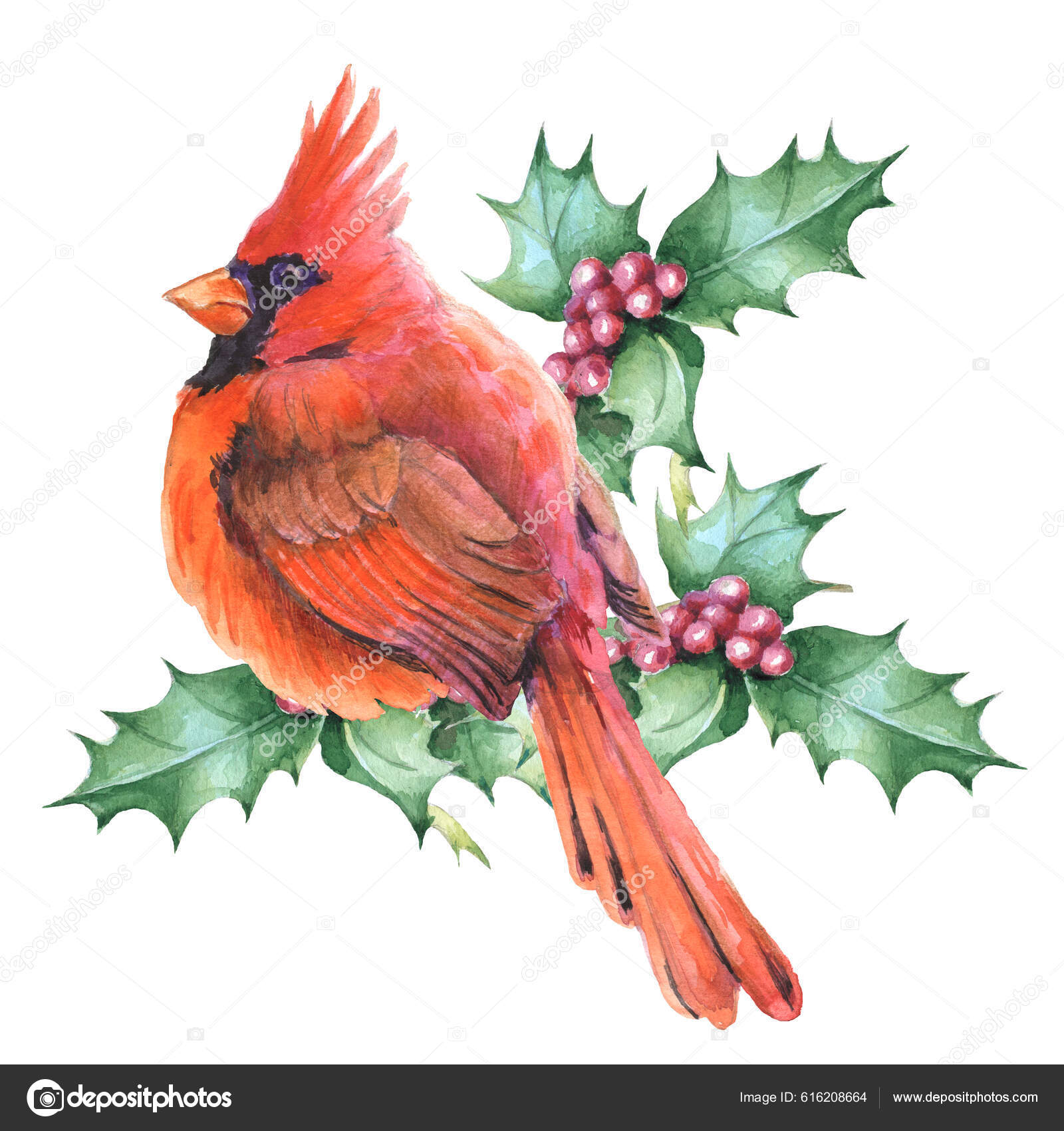 Watercolor Illustration Cardinal Birds Symbol Christmas Realistic ...