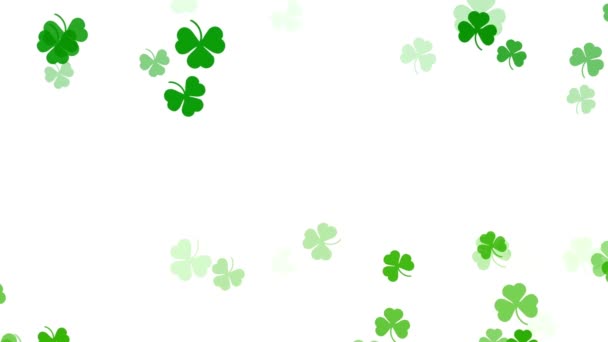Falling Shamrock Leaves Saint Patrick's Day Animation White Background ...