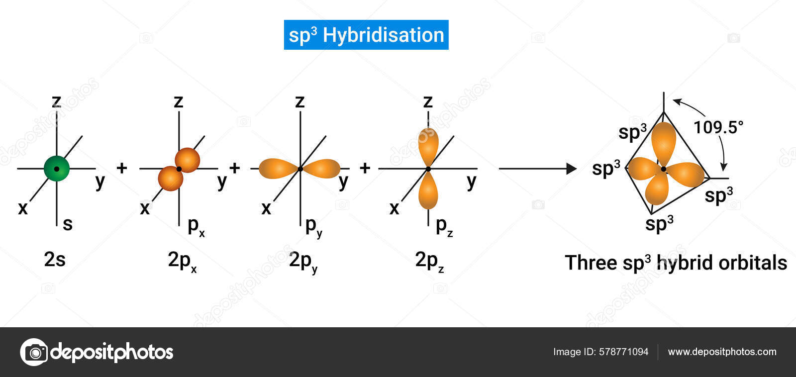 Sp3 Hybridisation One Three Orbitals Atom Molecule Ion Mixed Give Stock Vector Image by ©samjore ...