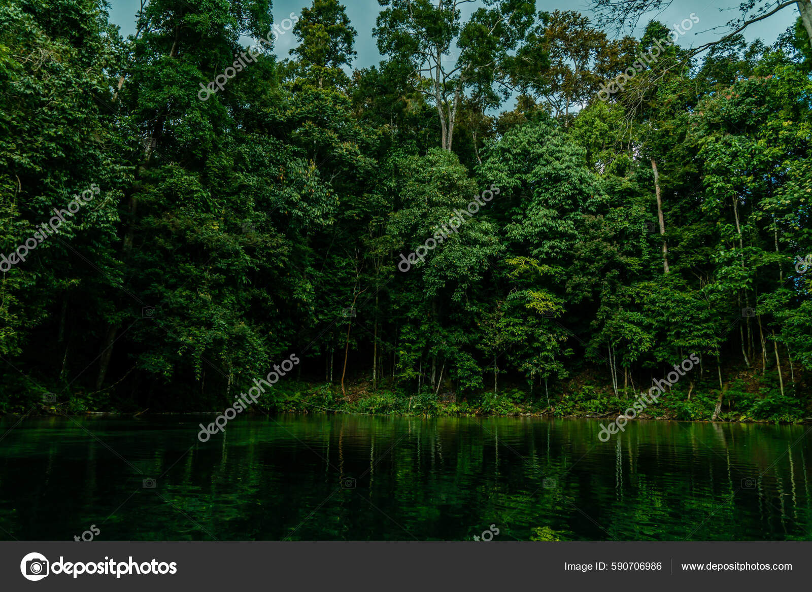Amazing Lake Clear Water Bottom Water Aquatic Biota Clearly Visible ...