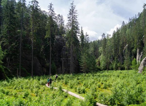 A wooden path on a hiking trail in Adrspach national park in Czech ...
