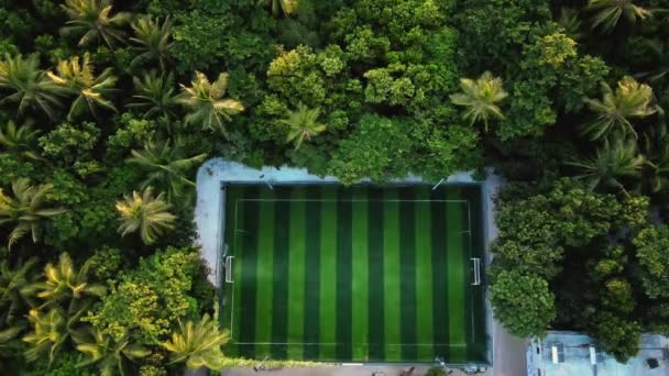 Soccer Field Tropical Forest Aerial Top Shot Palm Trees Soccer — Stock ...