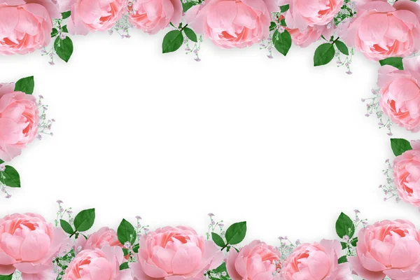Flower border background Images - Search Images on Everypixel