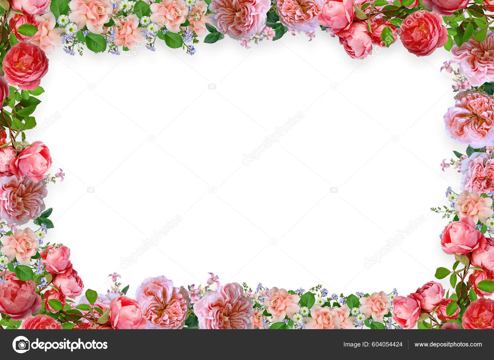 Flower Border Frame Background Flower Background Floral Frame ...