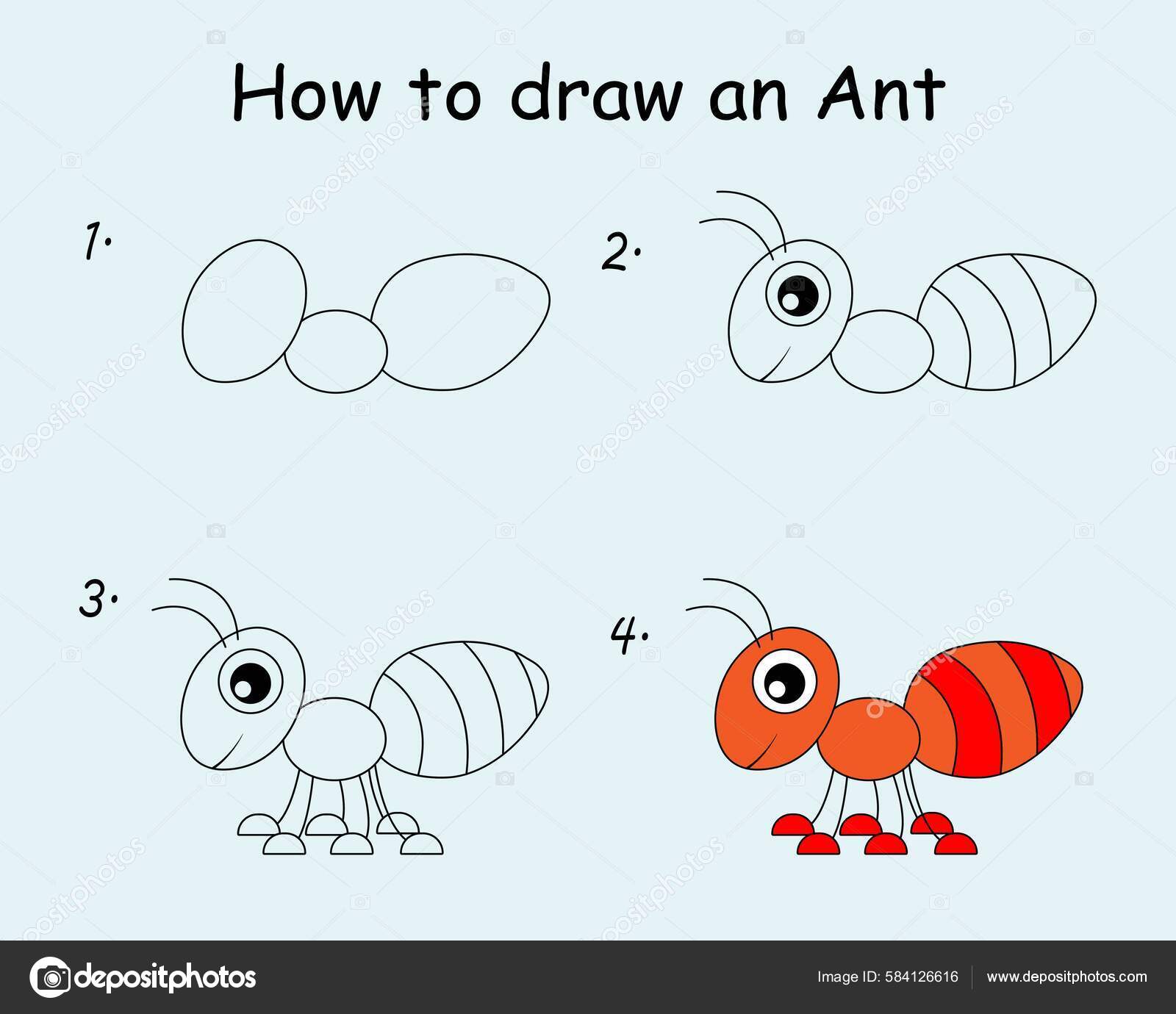 Langkah Demi Langkah Untuk Menggambar Semut Menggambar Tutorial Sebuah ...