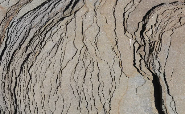 Geologic time line Stock Photos, Royalty Free Geologic time line Images ...