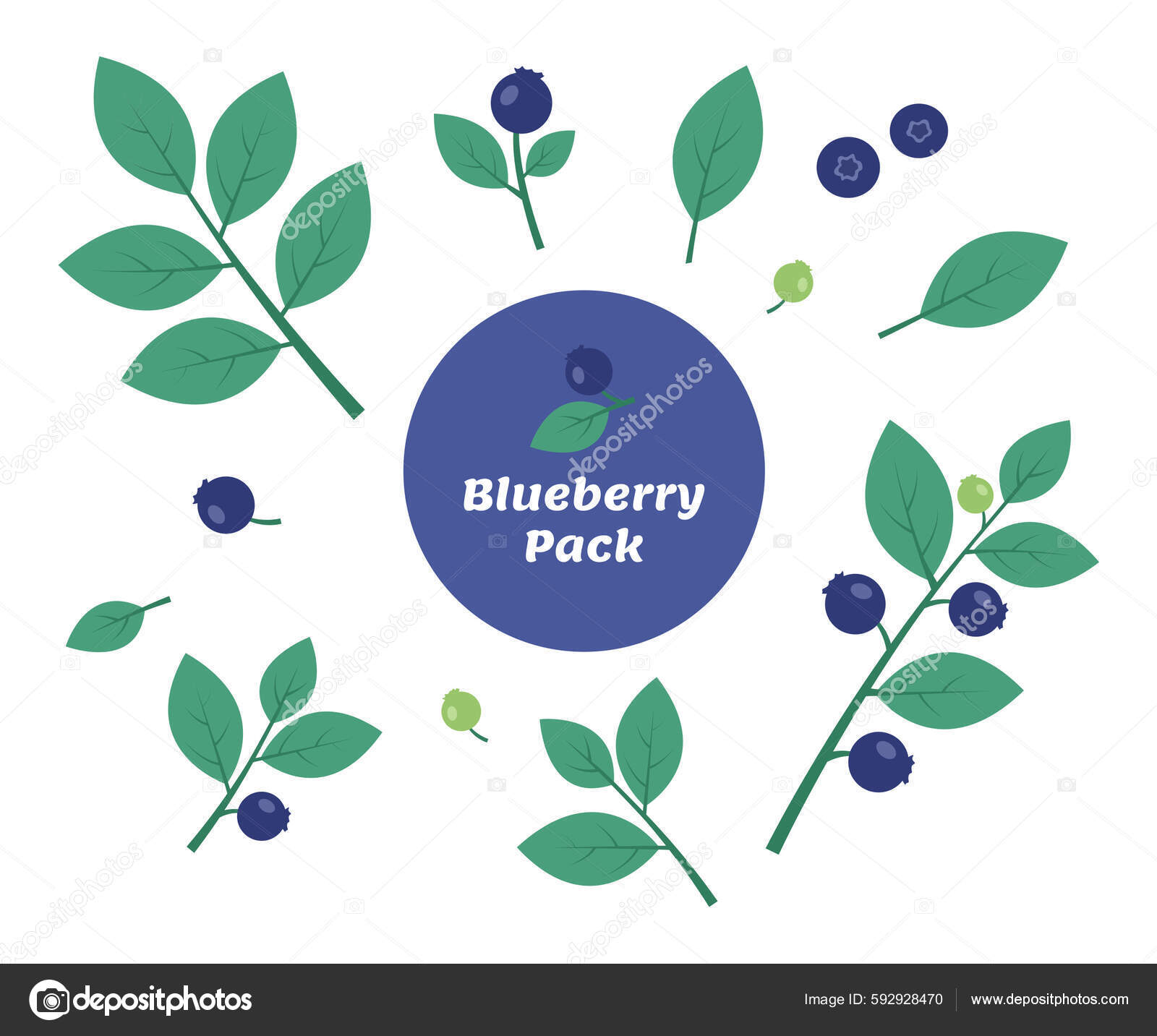 Blueberry Pack Vector Elements Flat Style Different Patterns Cards ...