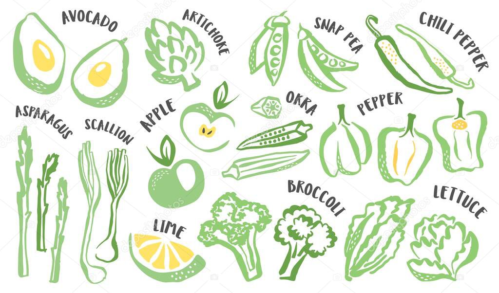 Set de verduras y frutas verdes pintadas a mano. Comida estilizada ...