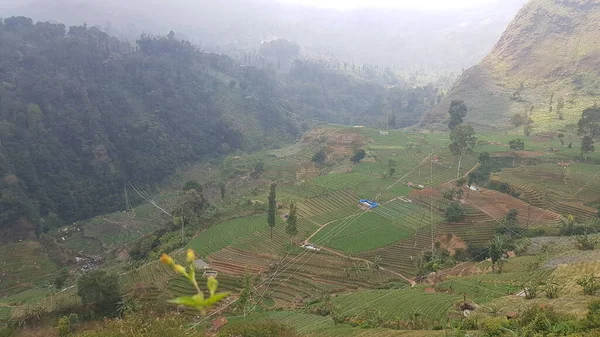 View of the hilly area in West Java. Green hills in summer with various ...