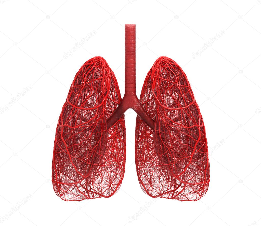 pulmón 3d venas rojas de sangre y estructura capilar enredado en fondo ...