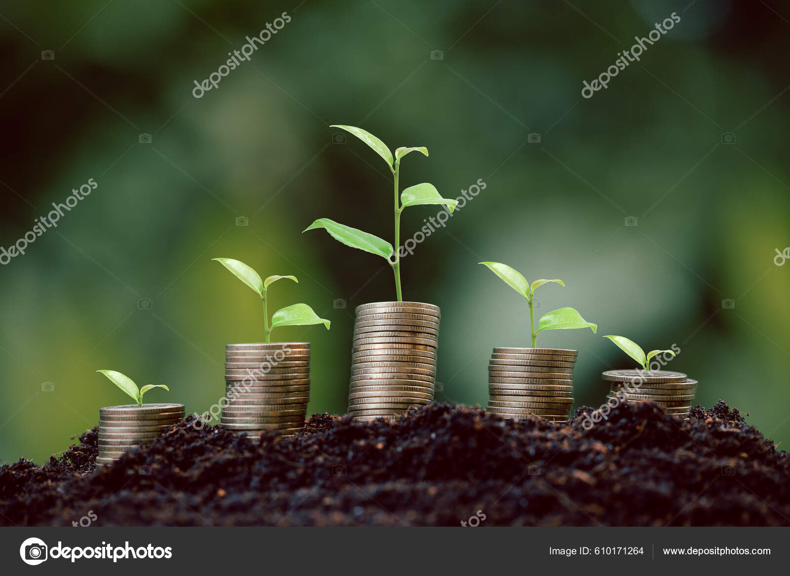 Money Coin Stack Seedling Plant Growing Green Nature Environment ...