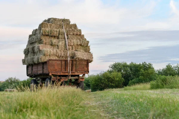 Hay transport Stock Photos, Royalty Free Hay transport Images ...