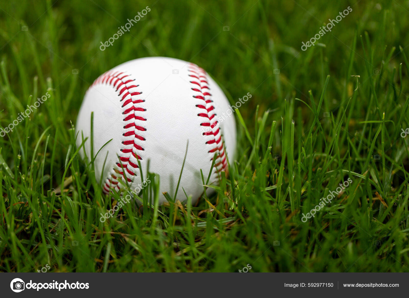 Baseball Laying Grass Outfield: fotografía de stock © duntrunestudios ...