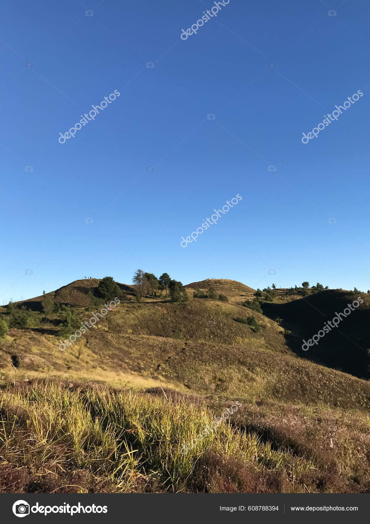 Dieng Indonesia 2019 One Beauties Icons Mount Prau Teletubies Hill ...