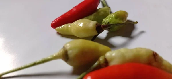 Individula sapor images libres de droit, photos de Individula sapor ...