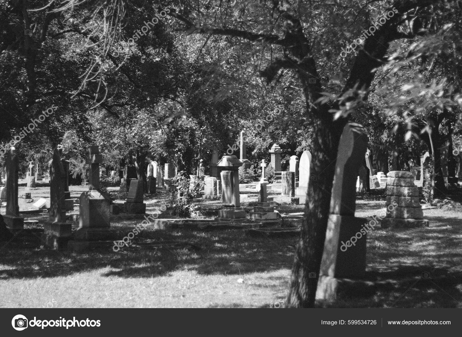 Old Graves Brixton Cemetery — Stock Editorial Photo © nicola.mawson ...