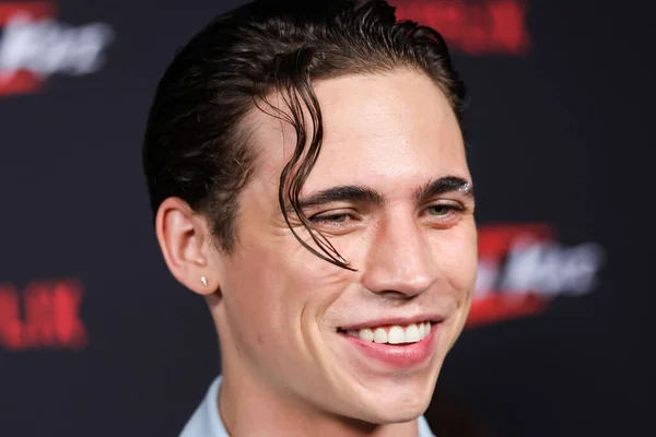 Vincent van gosh Stock Photos, Royalty Free Vincent van gosh Images ...