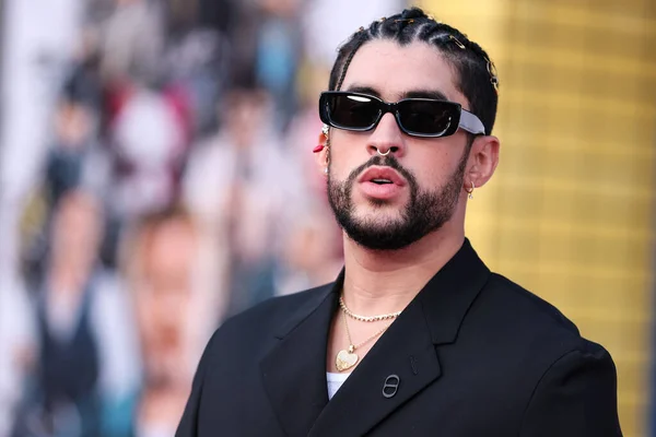 Bad bunny Stock Photos, Royalty Free Bad bunny Images | Depositphotos